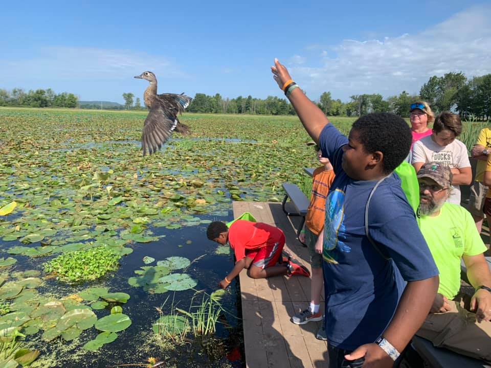 Summer Events: Wildlife Encounters-Wood Duck Banding - Gardner Camp